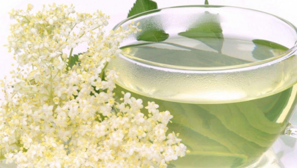 Ceaiul de soc – beneficii într-un singur pahar - Conanecu